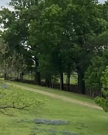 Patricia Byers Obituary - Seagoville, TX Patricia Byers Obituary - Seagoville, TX