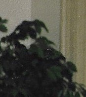 Mitchell Kaake Jr. Obituary - Wilmington, CA Mitchell Kaake Jr. Obituary - Wilmington, CA