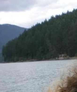 Susan Richardson Obituary - Portland, OR Susan Richardson Obituary - Portland, OR