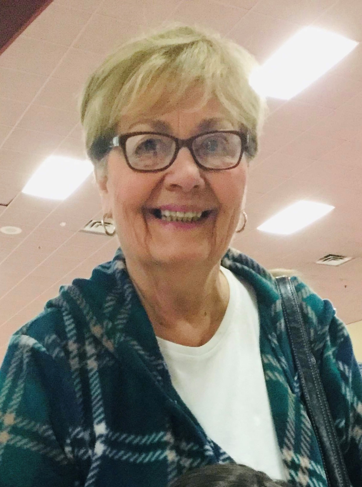 Diane Grasso Obituary - Chesterland, OH