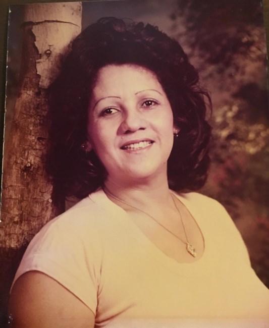 Linda Mercedes Sanchez Obituary - Citrus Heights, CA