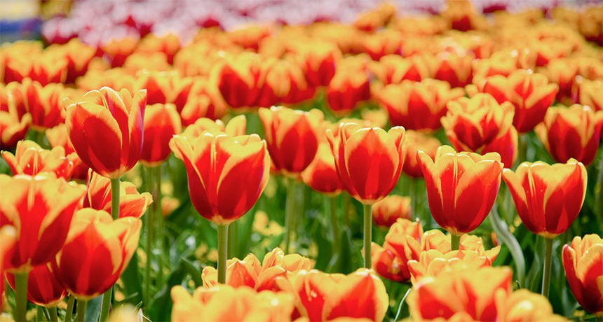 Ann Barnard Obituary - Fort Lauderdale, FL