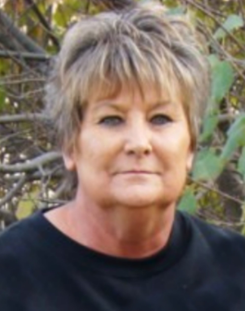 Julie Bauer Obituary - Greeley, CO