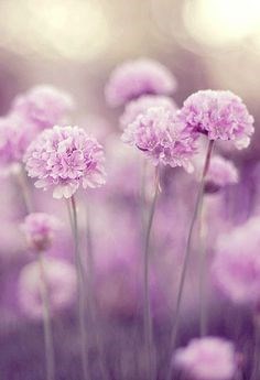 Bernice Marcus Obituary - Mission Hills, CA