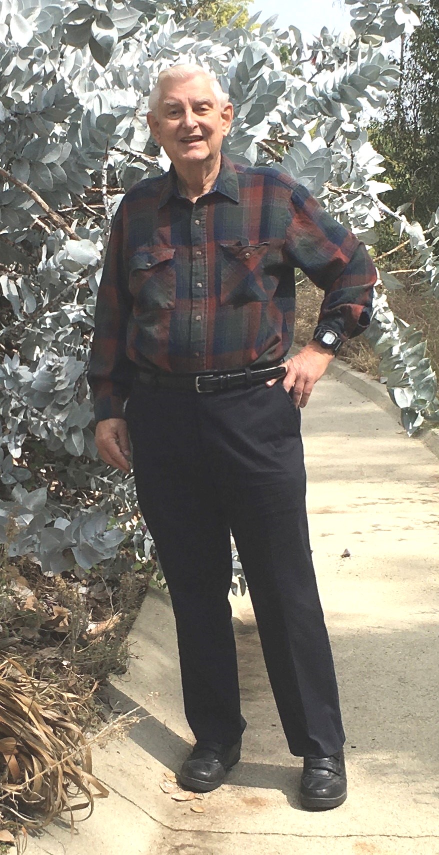 Manfred Peinemann Obituary - Westlake Village, CA