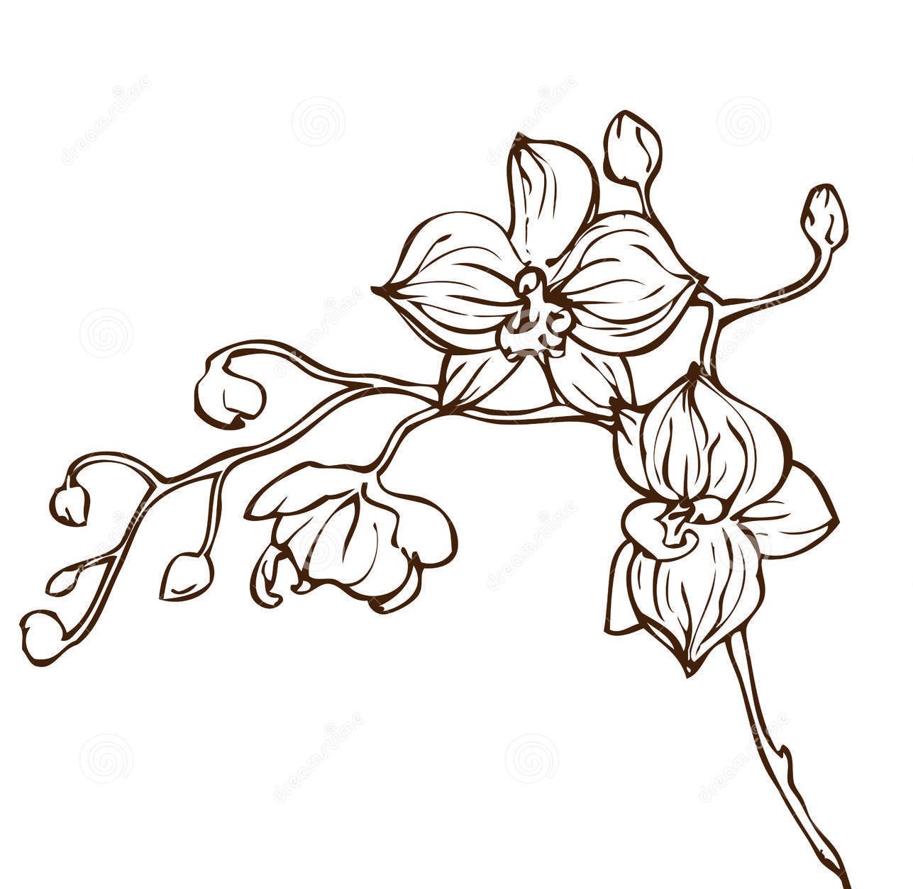 Barbara Jensen Obituary - Everett, WA