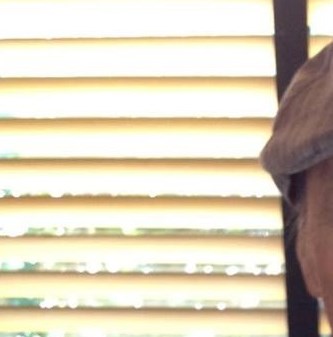 Raymond Nonato Sanchez Obituary - Houston, TX Raymond Nonato Sanchez Obituary - Houston, TX
