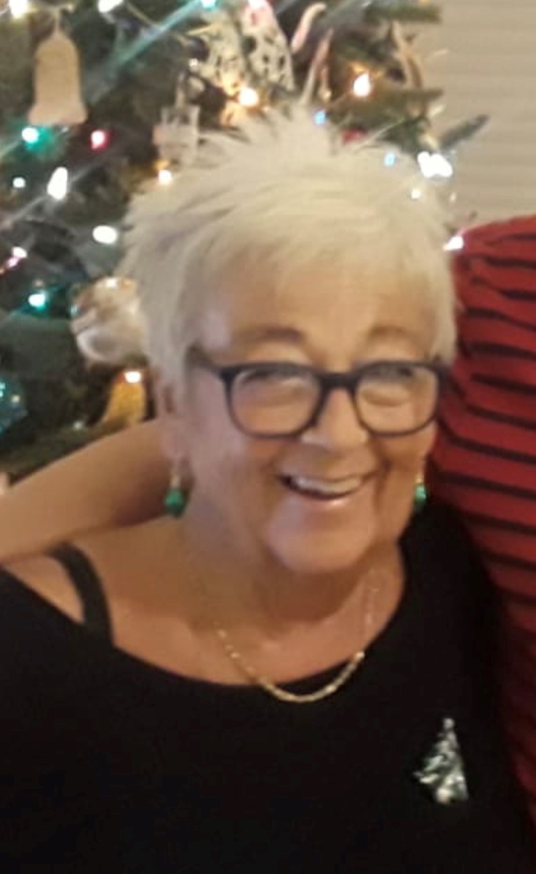 Susan Beeson Obituary Tampa Fl