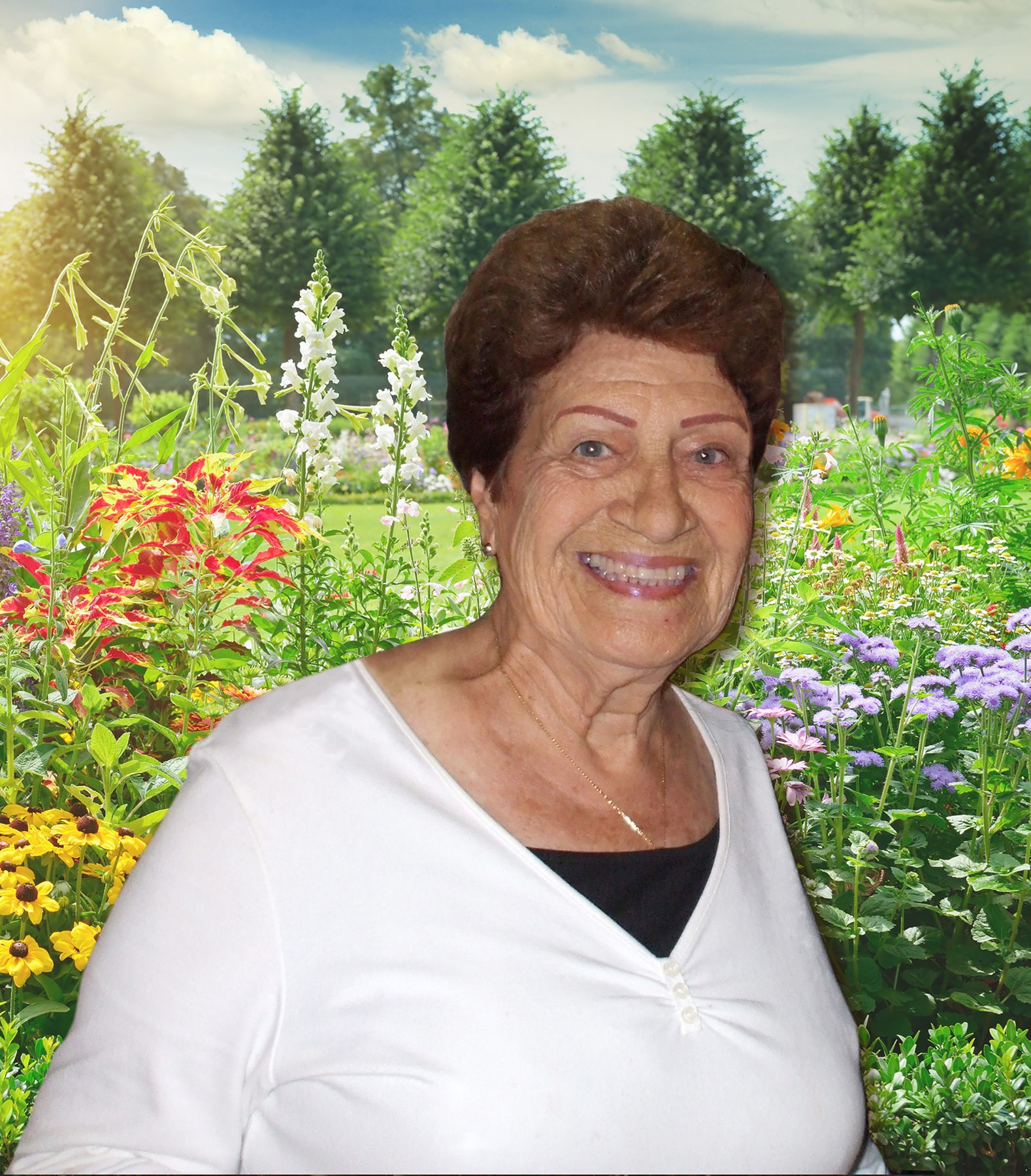 Hilda Álvarez Cheverez Obituary - Bayamon, PR