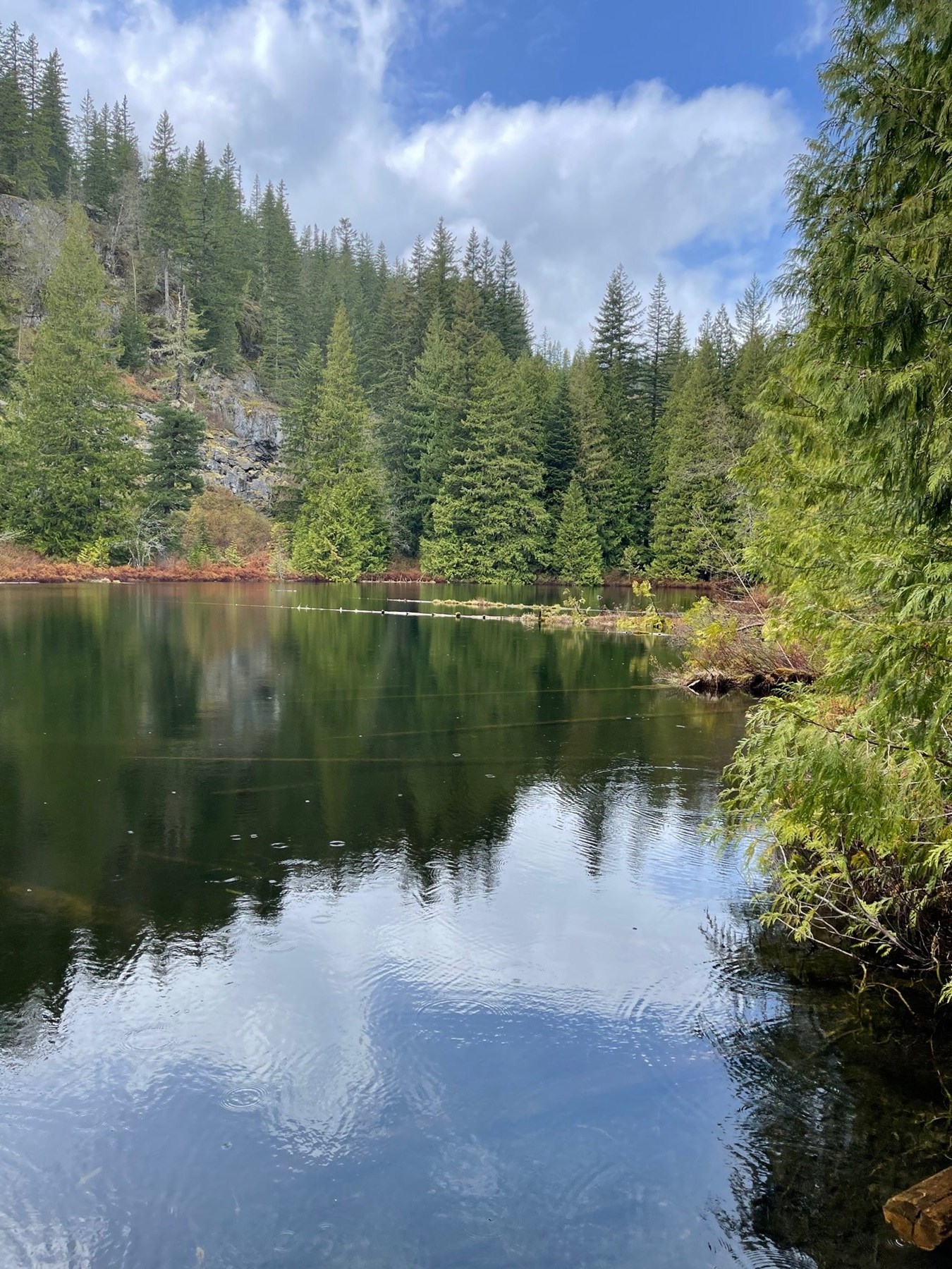Michael Prokop Obituary - Vancouver, BC