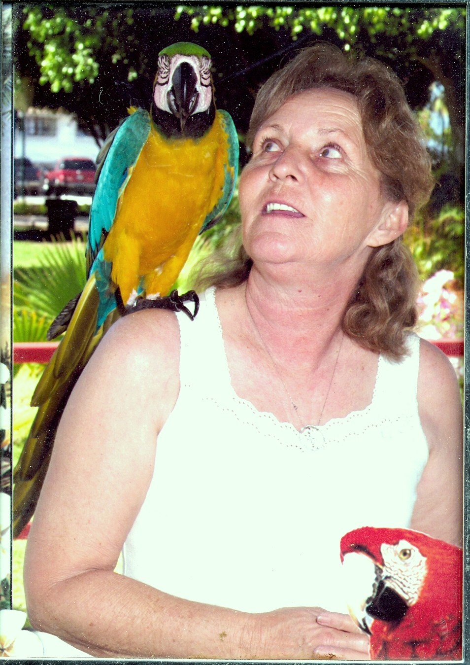 Nancy Jane Medeiros Obituary - Turlock, CA