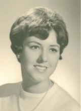 Sandra Erwin Obituary - Arlington Heights, IL