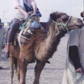 Orlene Olson Obituary - San Antonio, TX