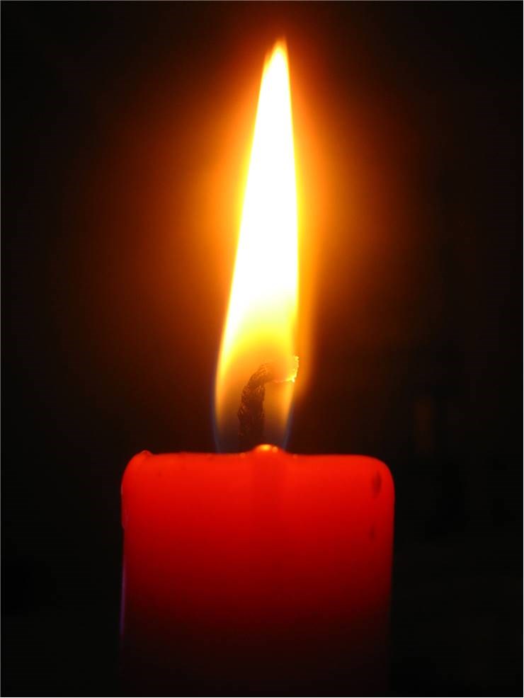 Thomas Fedro Obituary - Arlington Heights, IL