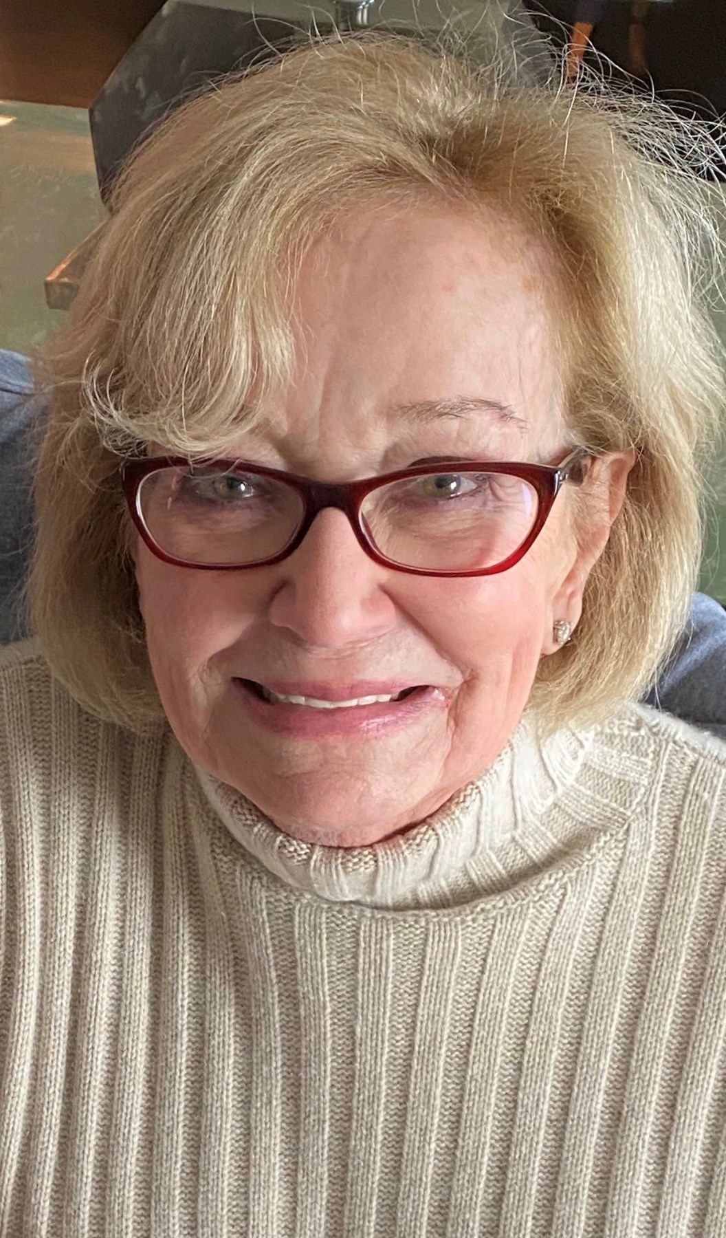 Diane Fox Obituary - Arlington Heights, IL