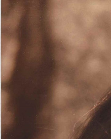 Michelle Joseph Obituary Chicago Il