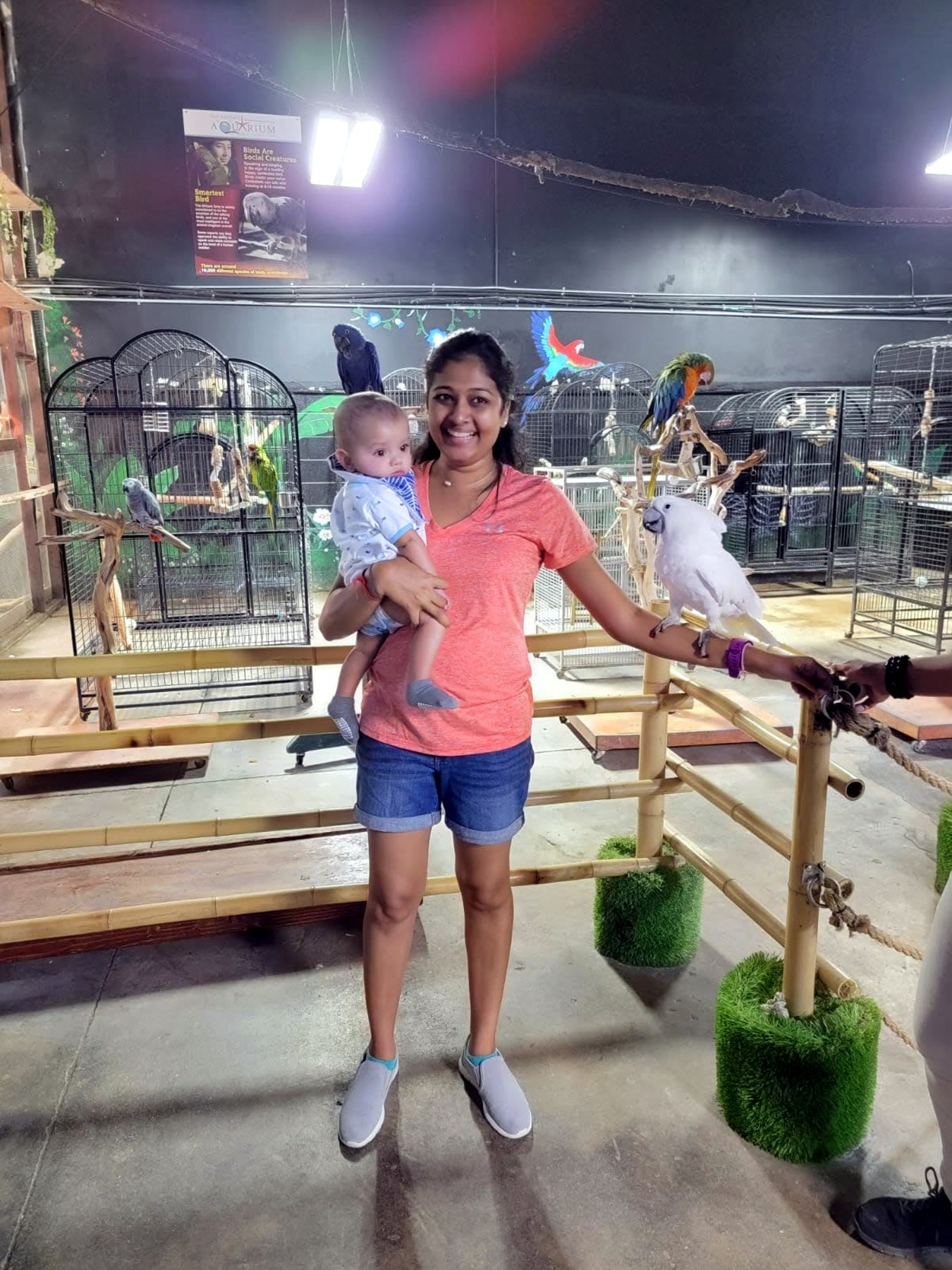 Manali Atulbhai Patel Obituary - Houston, TX Manali Atulbhai Patel Obituary - Houston, TX