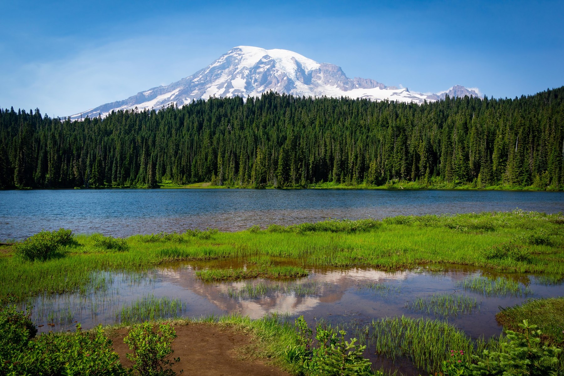 George Heiser Obituary - Seattle, WA
