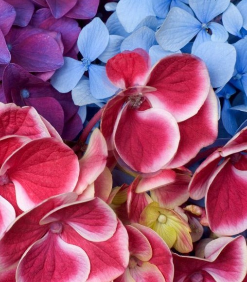 Mary RUSHTON Obituario - Parksville, BC