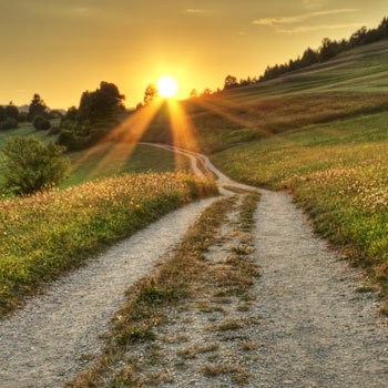 Gerald Gannon Obituary - Peterborough, ON
