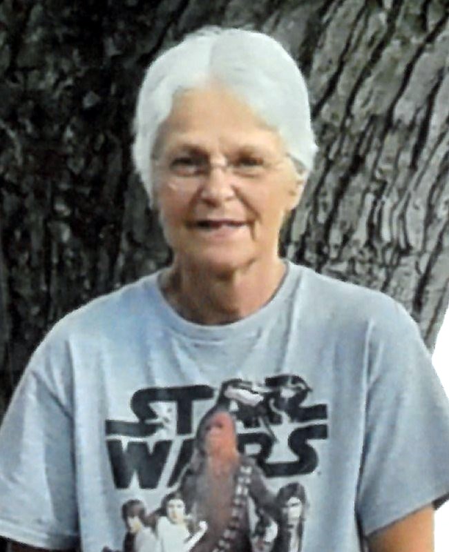 Dina Ramseth Obituary - Phoenix, AZ