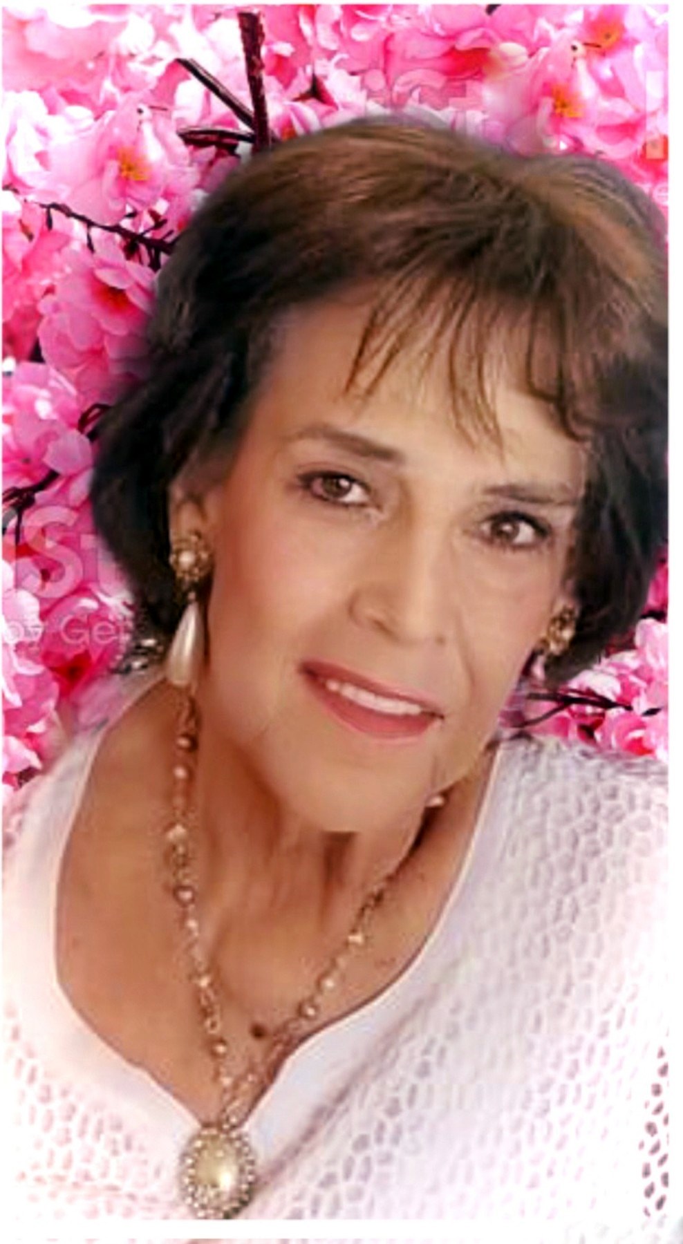 Dora Lopez Obituary - Dallas, TX