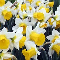 Mary Sanders Obituary - Jacksonville Beach, FL