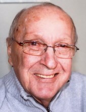 Michael Daniel Kittilstad Obituary - Springfield, IL