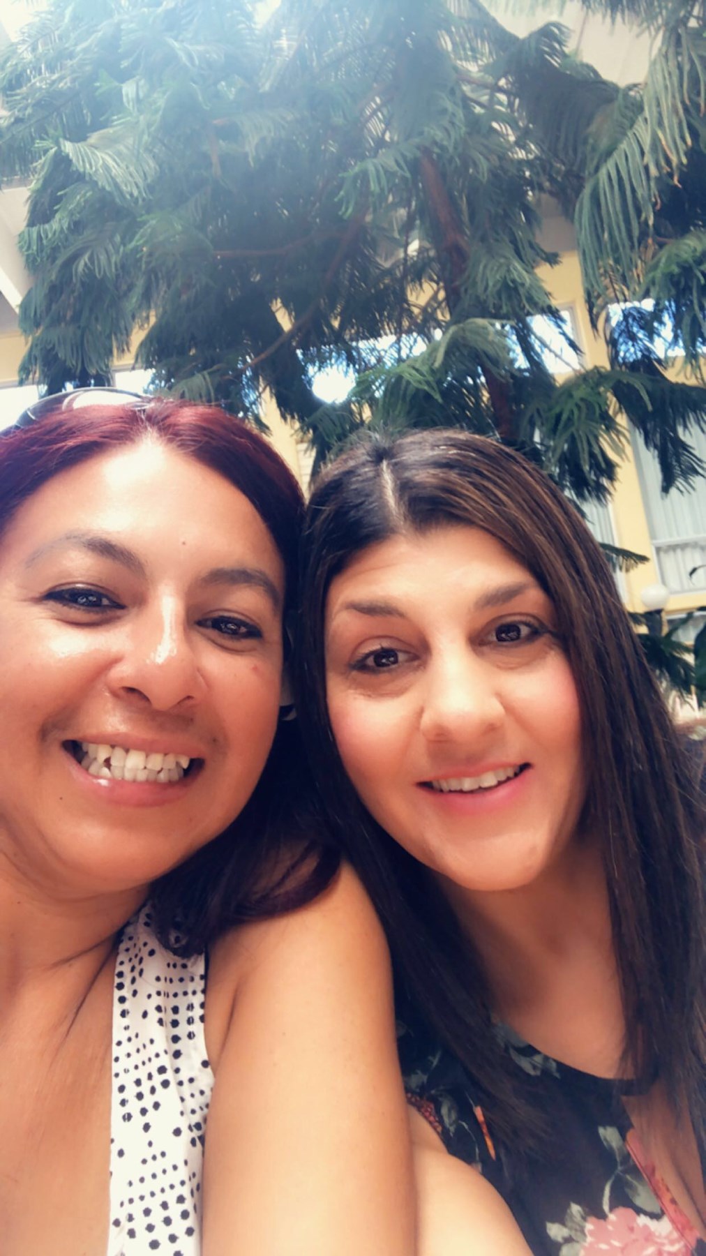 Lisa Valenzuela's Instagram, Twitter & Facebook on IDCrawl