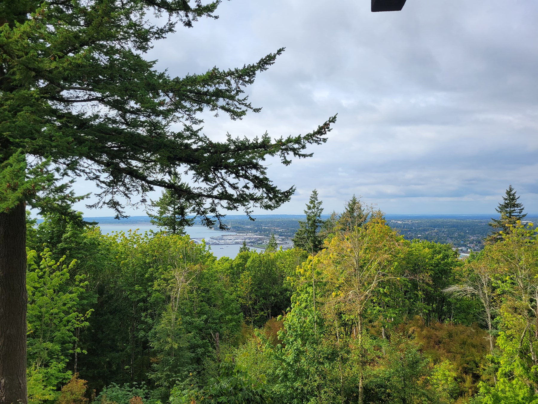 Felton Hall Obituary - Bothell, WA