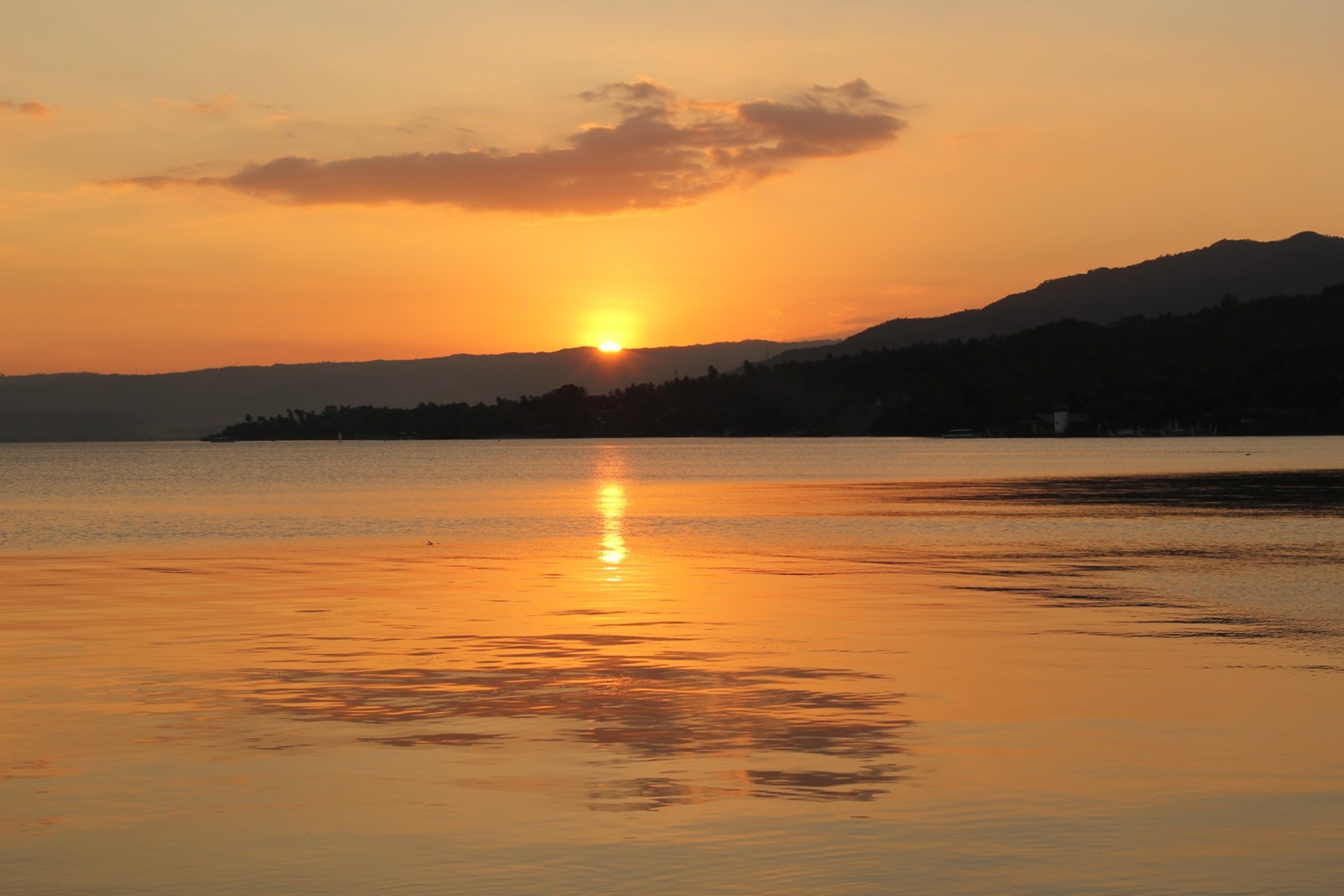 Mark Marchak Obituario - Staten Island, NY