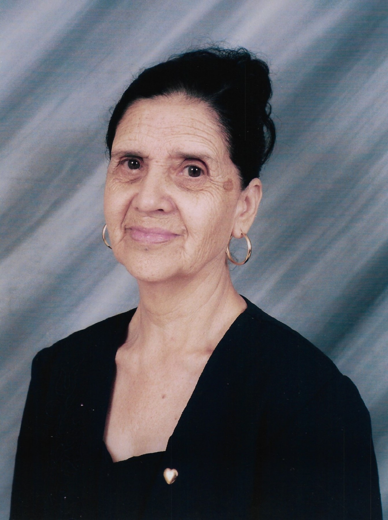 Maria Favela-Cano Obituary - Forest Park, IL