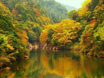 Josephine Messina Obituary - Westwood, NJ