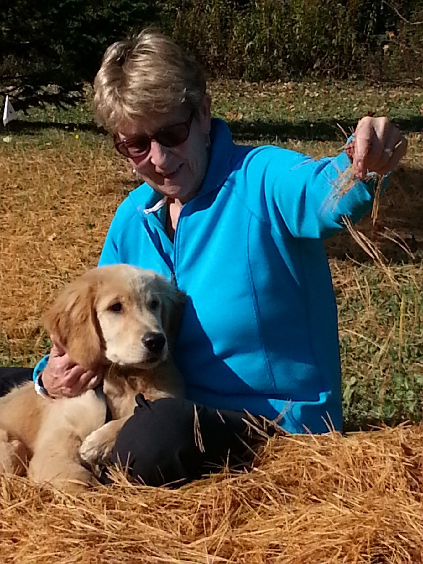 Valerie Healey Obituary - Portland, ME