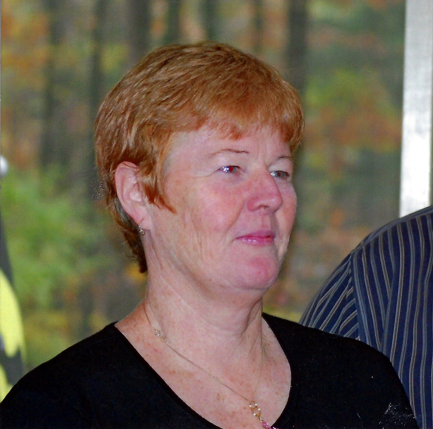 Charlene Laney Obituary - Madison Heights, VA