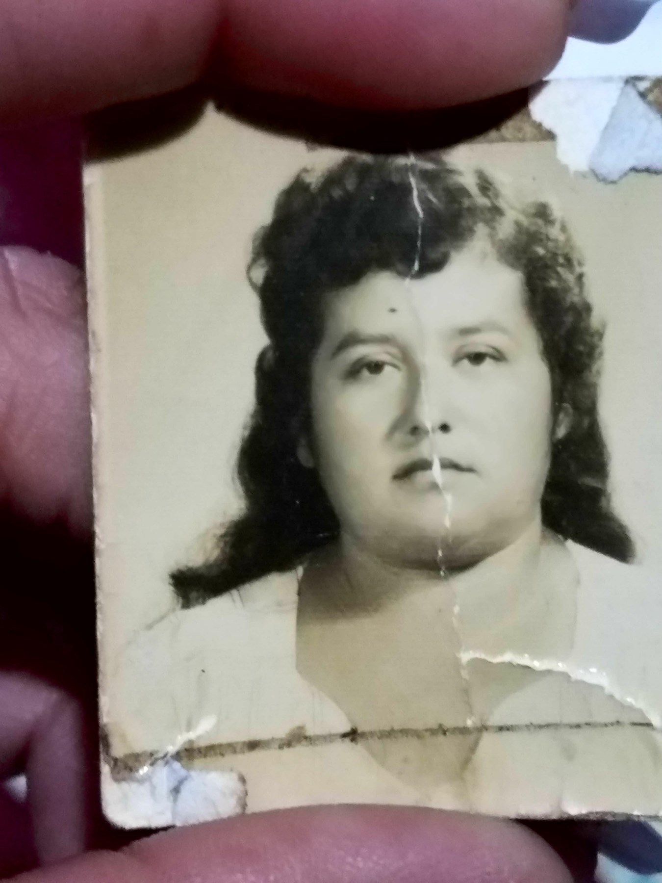 Mercedes Reyes's Instagram, Twitter & Facebook on IDCrawl