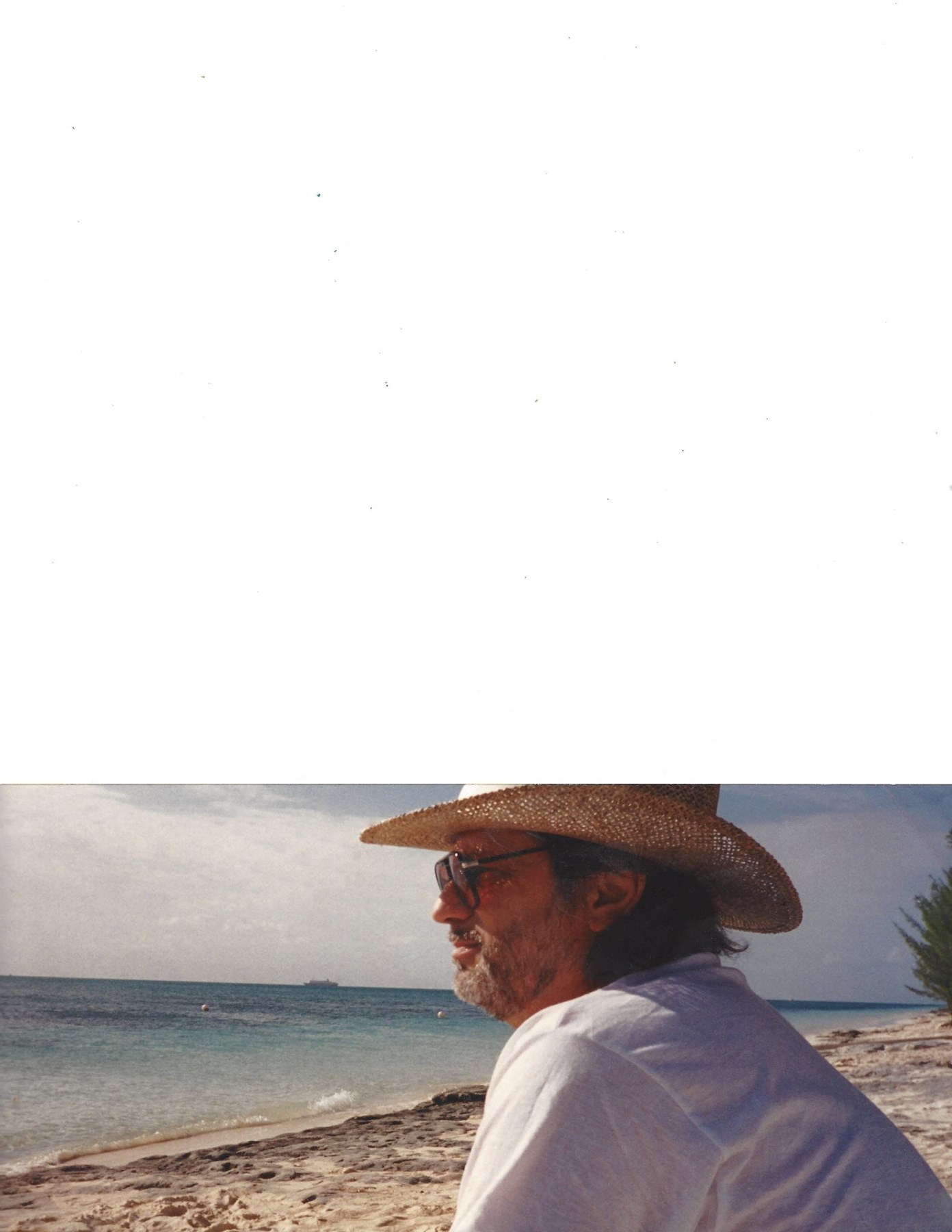 Louis Badini, Obituary - Silver Spring, MD