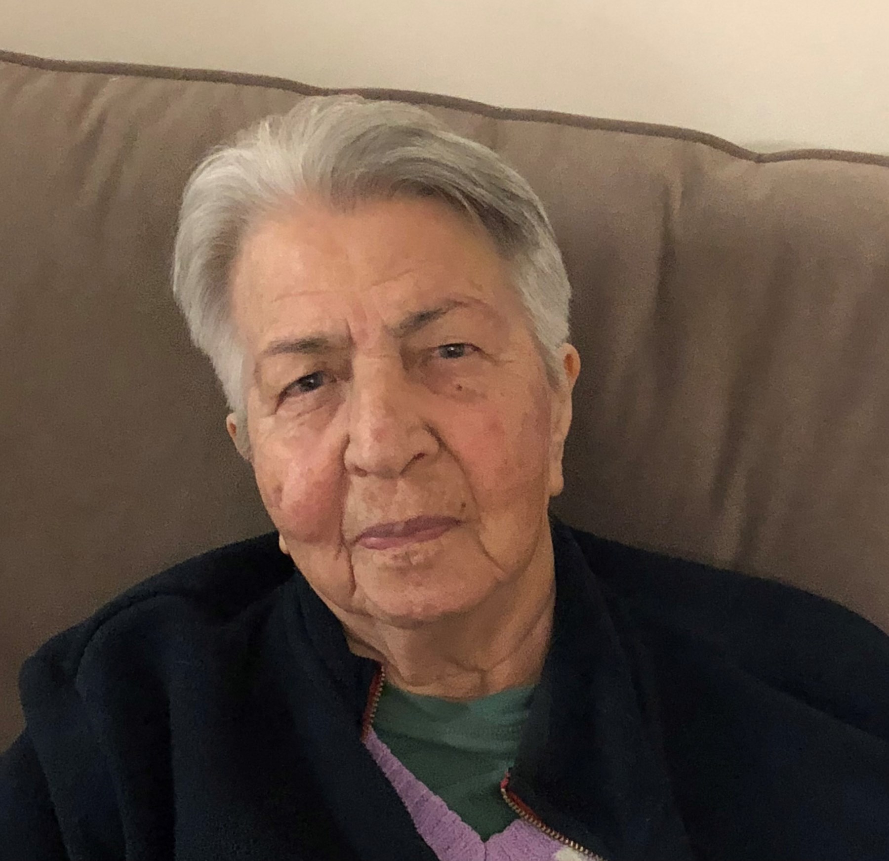 Mehry Fardowsian Obituary - Port Coquitlam, BC