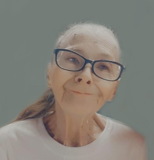 Pamela Oostra Obituary - Greenville, OH