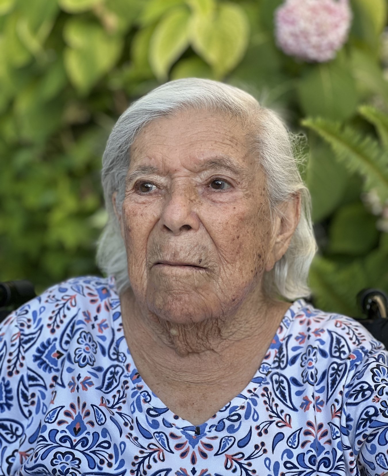 Guadalupe Rios Obituary - Fresno, CA