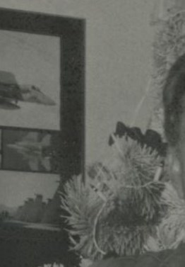 Harry W. Williams Sr. Obituary - Jacksonville Beach, FL Harry W. Williams Sr. Obituary - Jacksonville Beach, FL