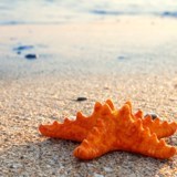 LaRue Linnekin Obituary - Williamsburg, VA