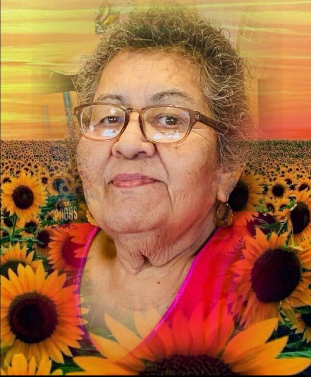 Barbara Quiroz's Instagram, Twitter & Facebook on IDCrawl