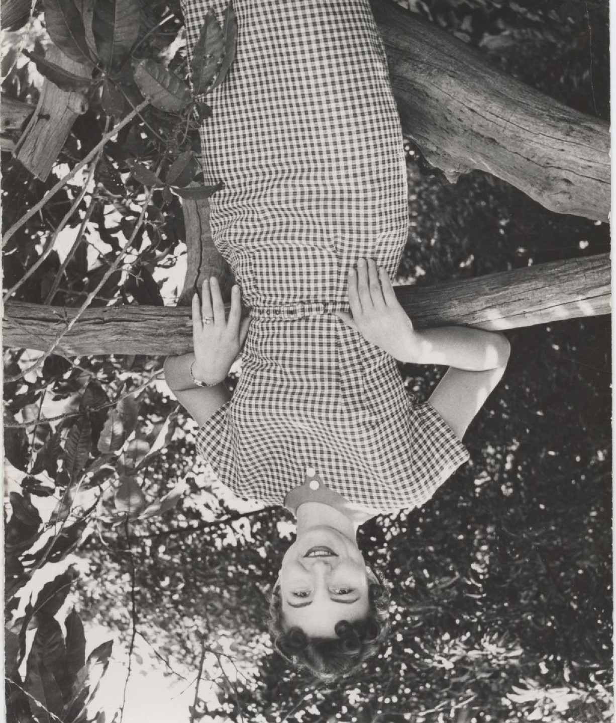 Kay Van Rooy Obituary - Menifee, CA