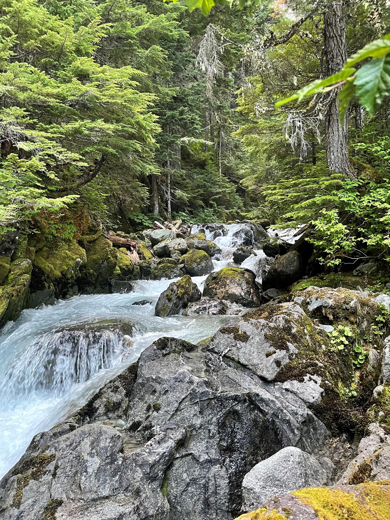 Steven Desmond Oliver Obituary - Vancouver, BC