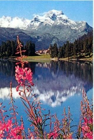 Robert Raynor Obituary - Miami, FL