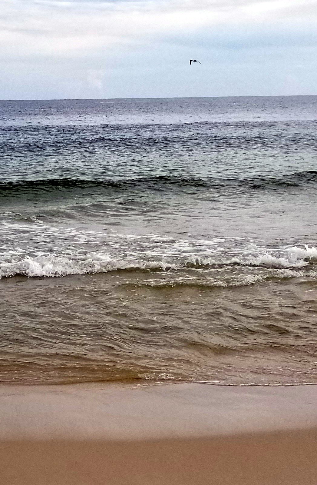 Saw Nyan Sein Obituary - Fort Wayne, IN