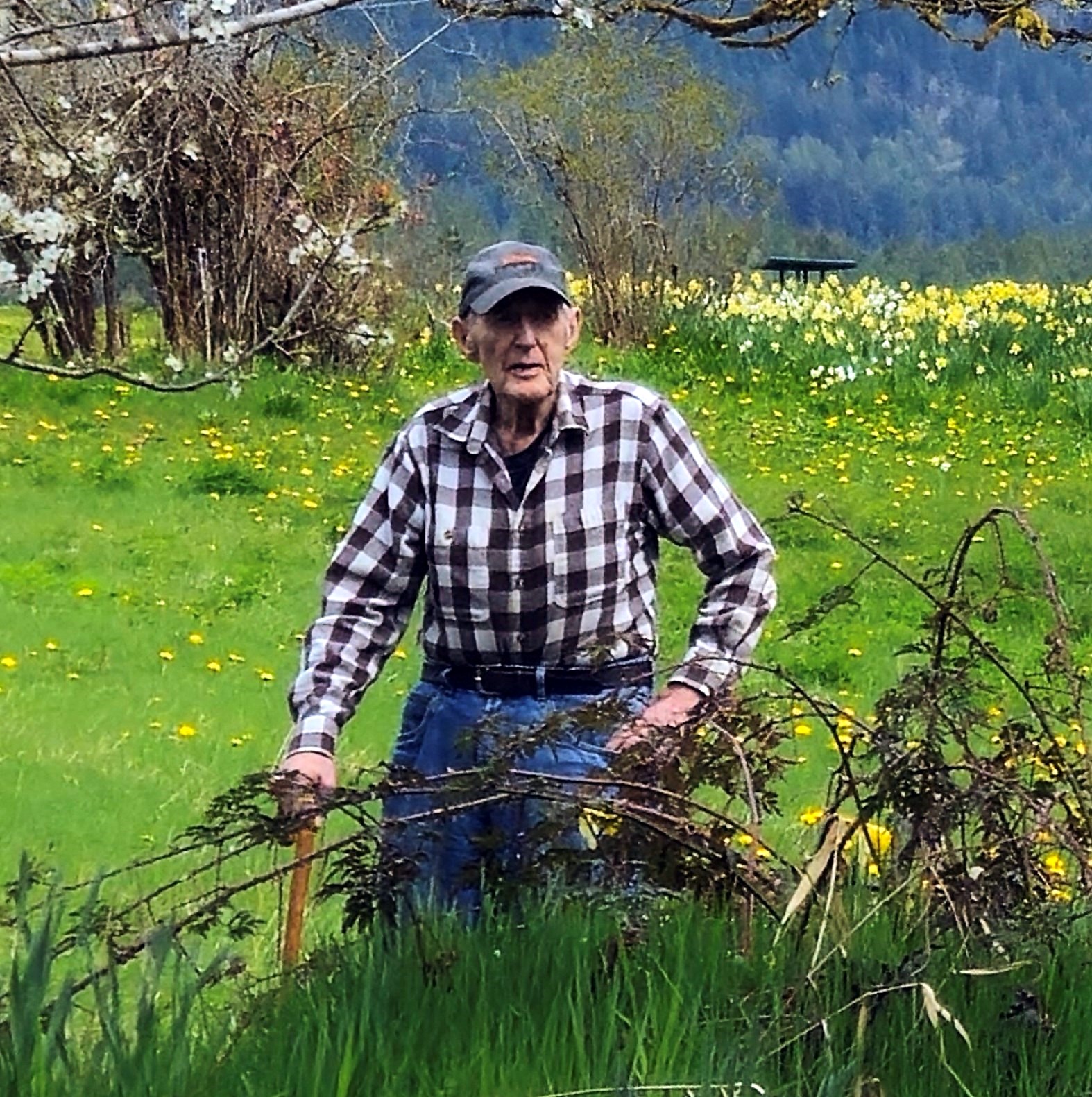 Allan Cameron Obituary - Port Alberni, BC