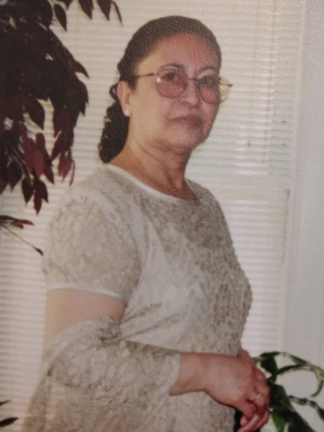 Luz Maria Baez Obituary - Brandon, FL