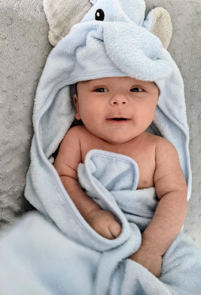 Dominic Scheip Obituary - Sarasota, FL